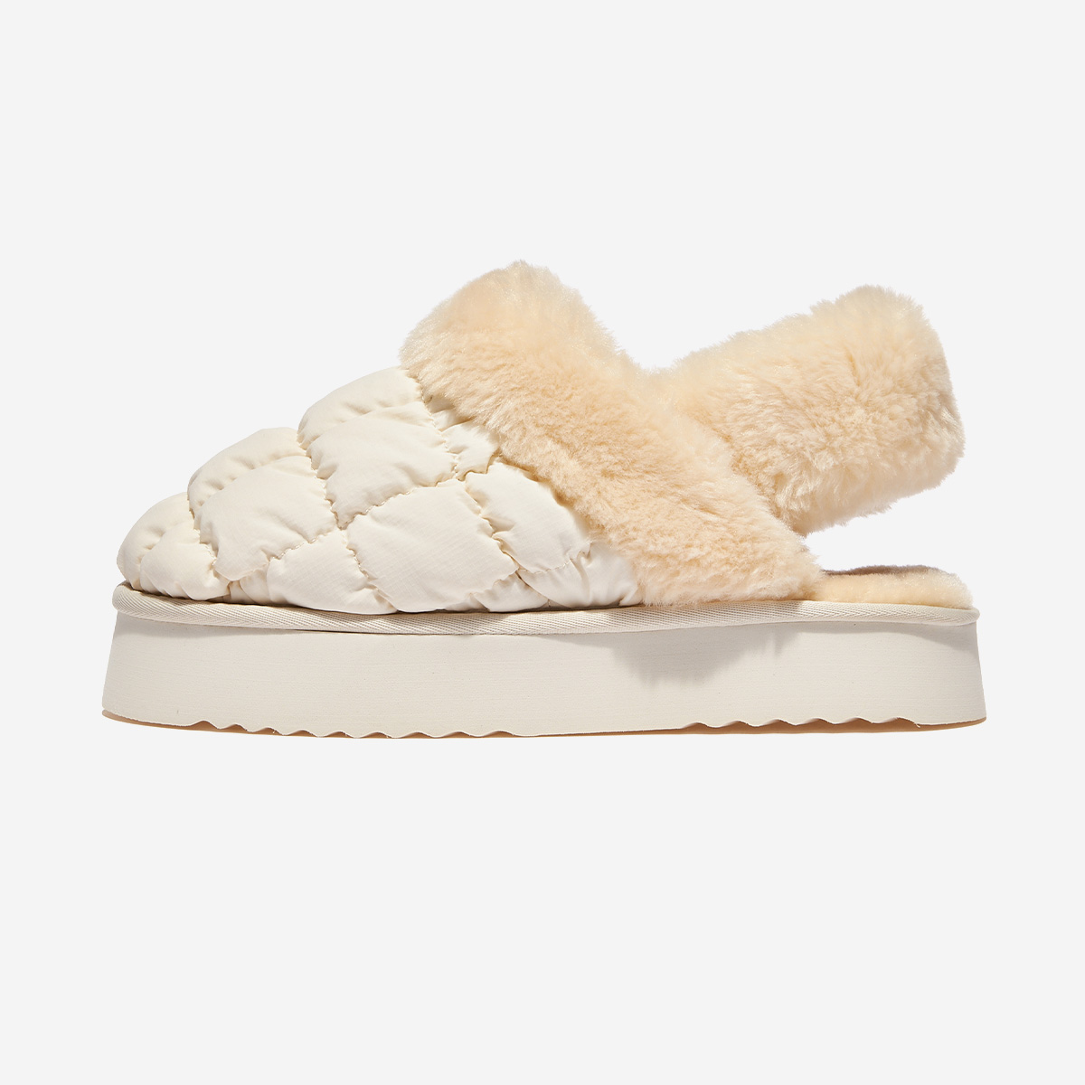 스웰리 3 SWELLY 3 - 누오보