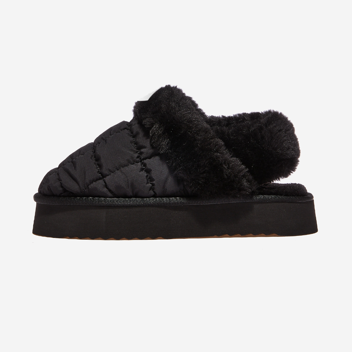 스웰리 3 SWELLY 3 - 누오보